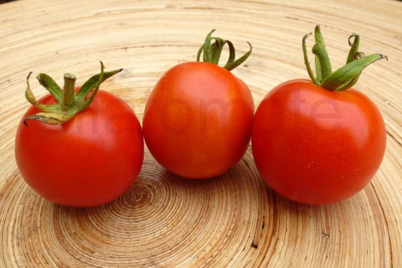 Freilandtomaten