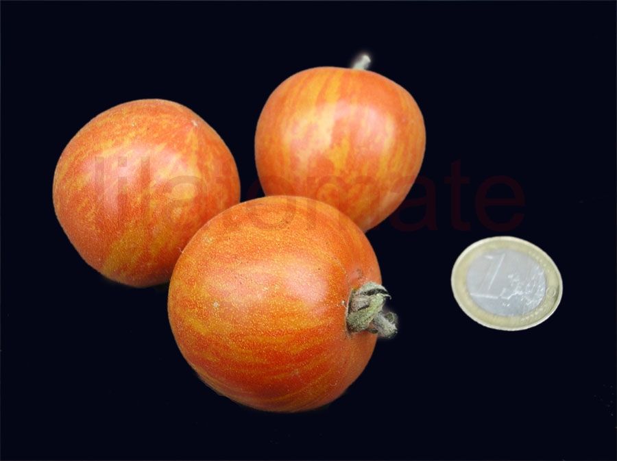 Tomate 'Fuzzy Wuzzy' | Tomate 'Fuzzy Wuzzy'